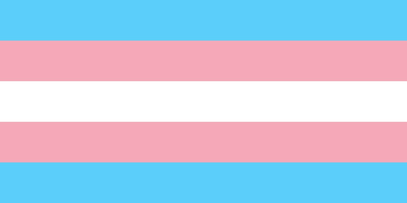 800px-Transgender_Pride_flag.svg – TFA Houston